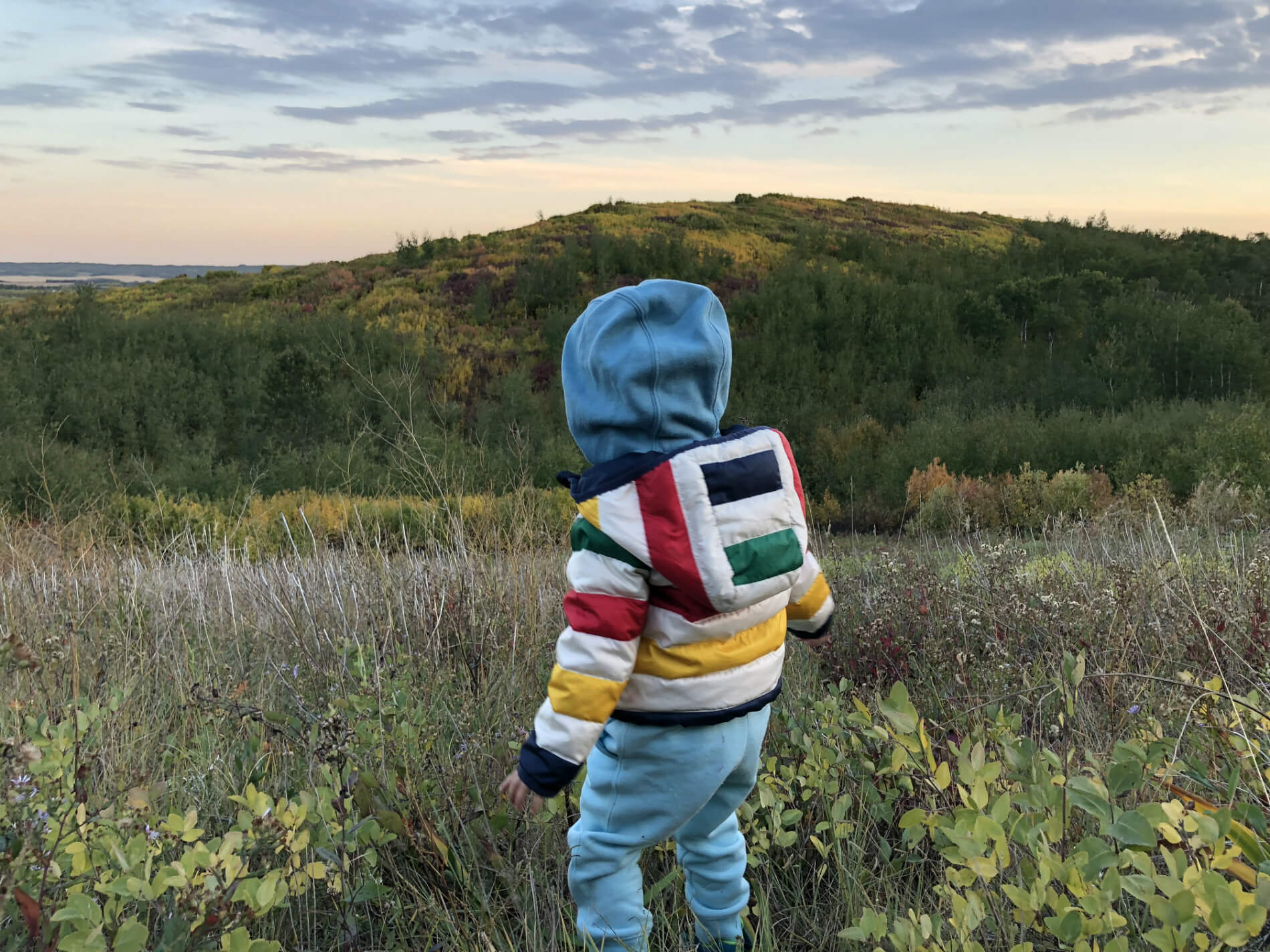 How the Land Cured my Daughter’s Eczema - CWIS