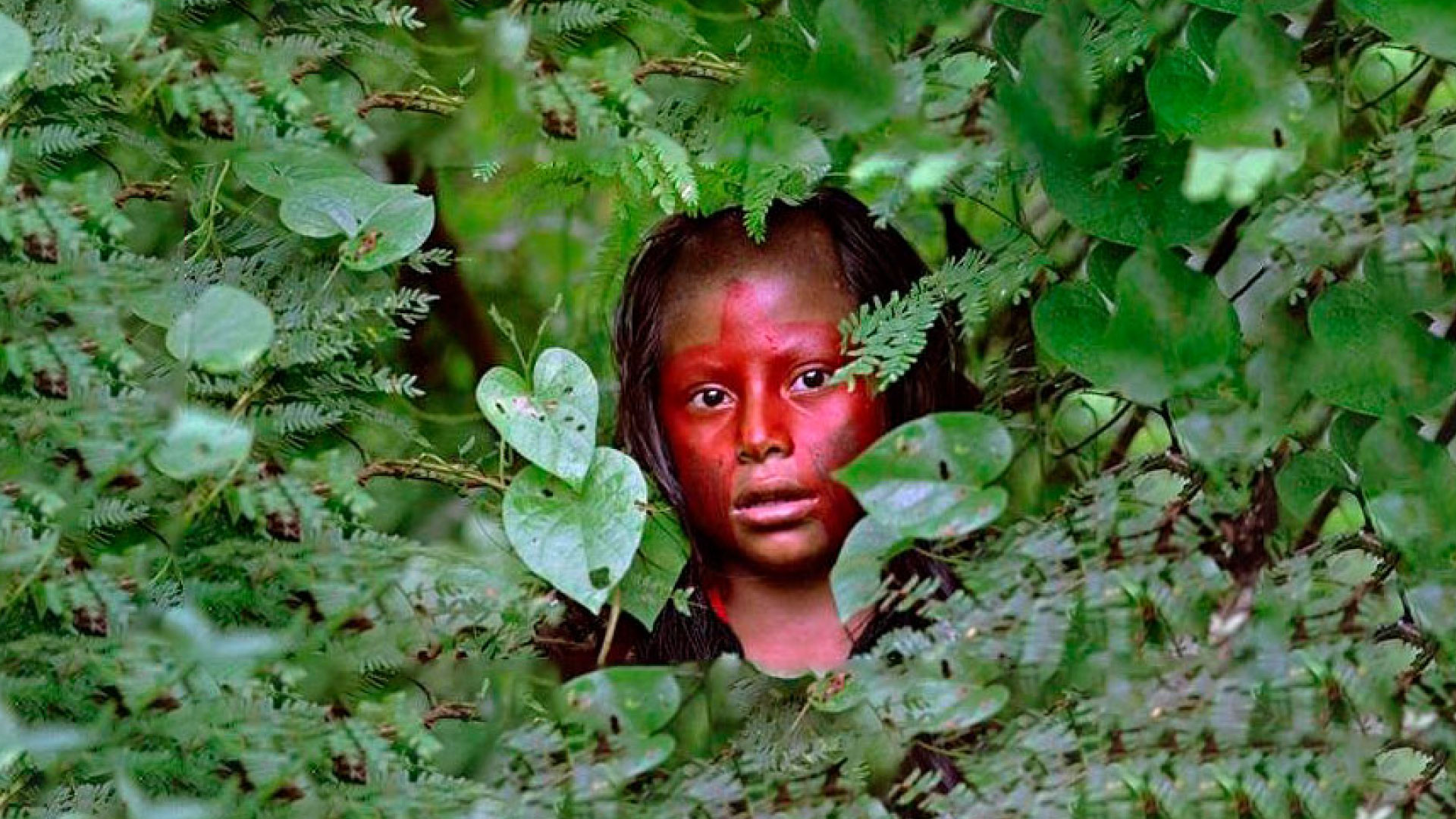 Fourth World JournalSummer 2023 - Center for World Indigenous Studies