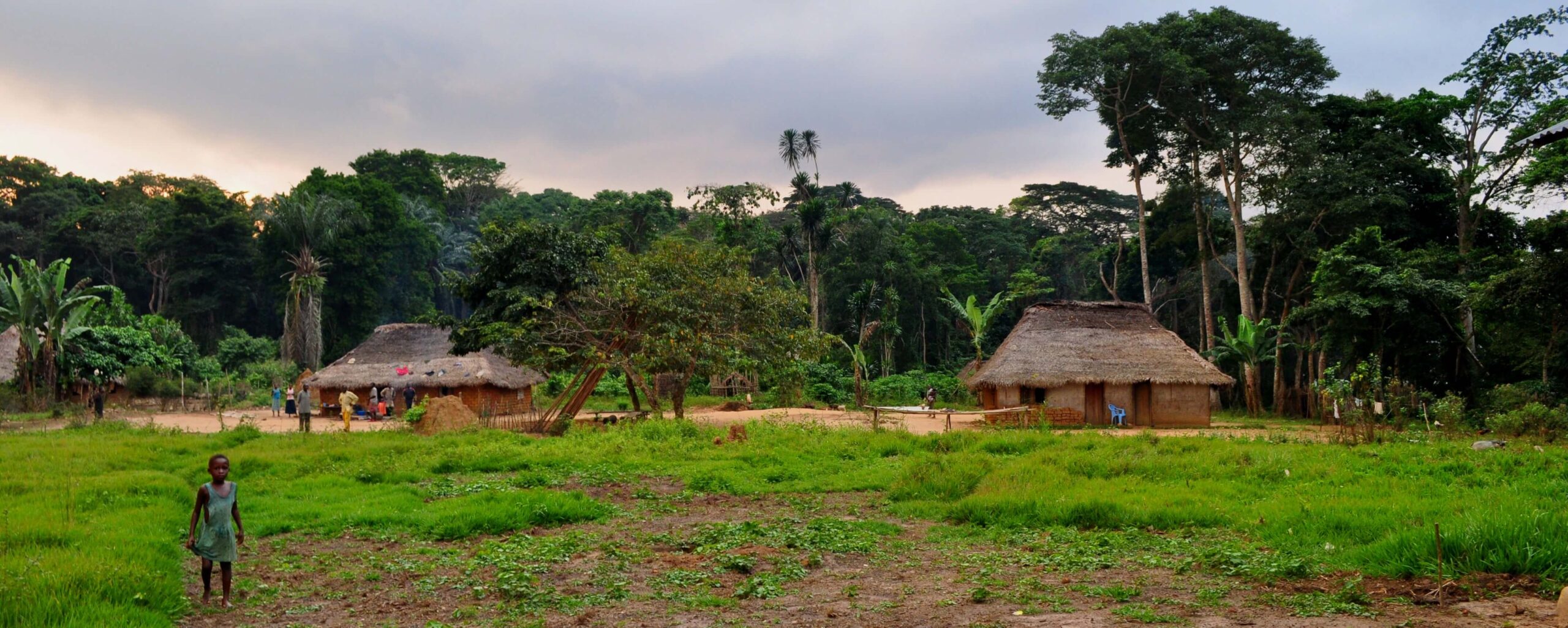 The REDD+ Initiatives in the DR Congo - Center for World Indigenous Studies